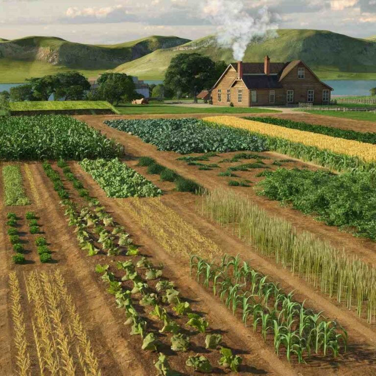 Farm planning characteristics and techniques - Notes For AG