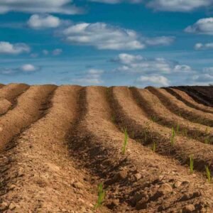 Tillage-Definition, History, Types, Methods