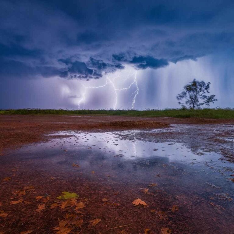 Definition of weather, climate, microclimate, meteorology, and agro ...