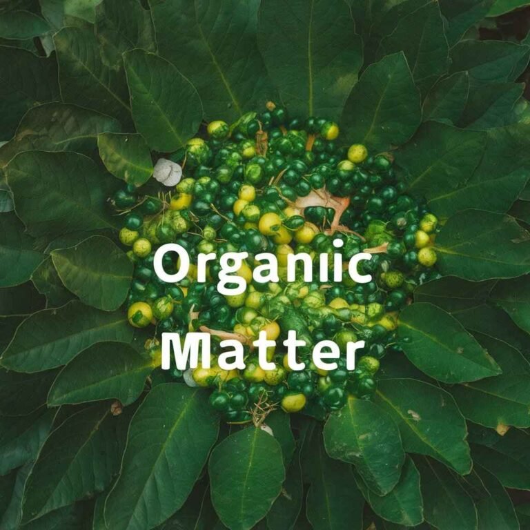 Organic matter-Source, Composition and Function