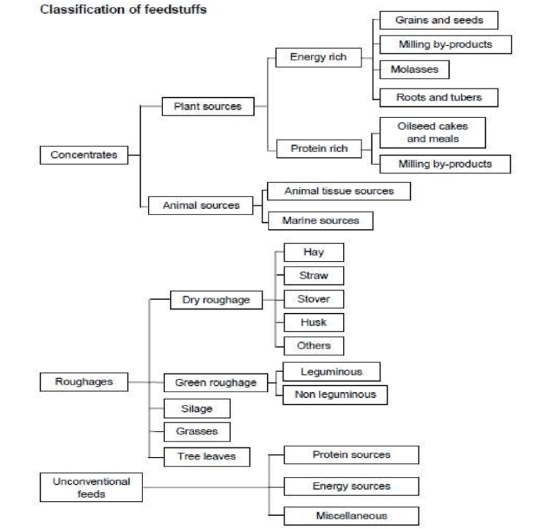 Feedstuffs Classification