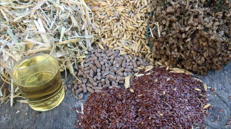 Feedstuffs Classification