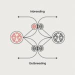 Mating system (inbreeding, outbreeding) - Notes For AG