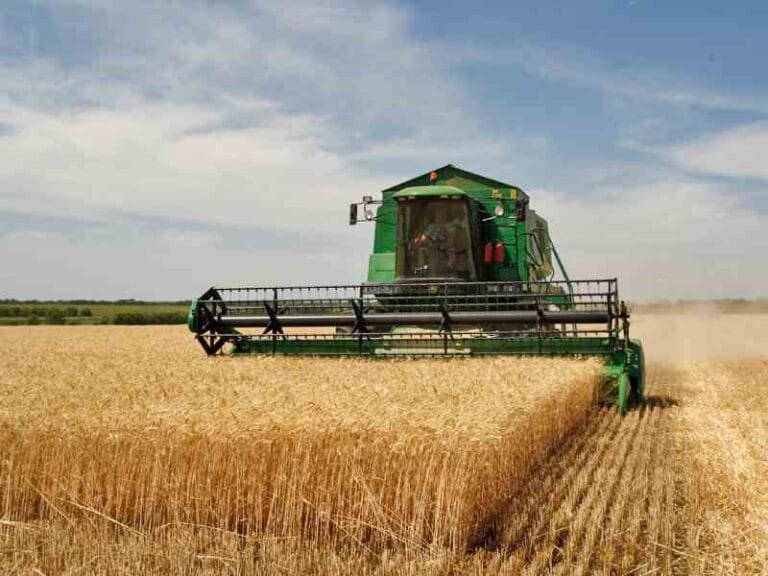 Harvesting and Post-Harvest Handling - Best Notes For AG