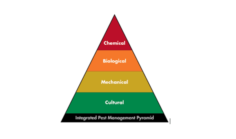 Pest and Disease Management - Best Notes For AG