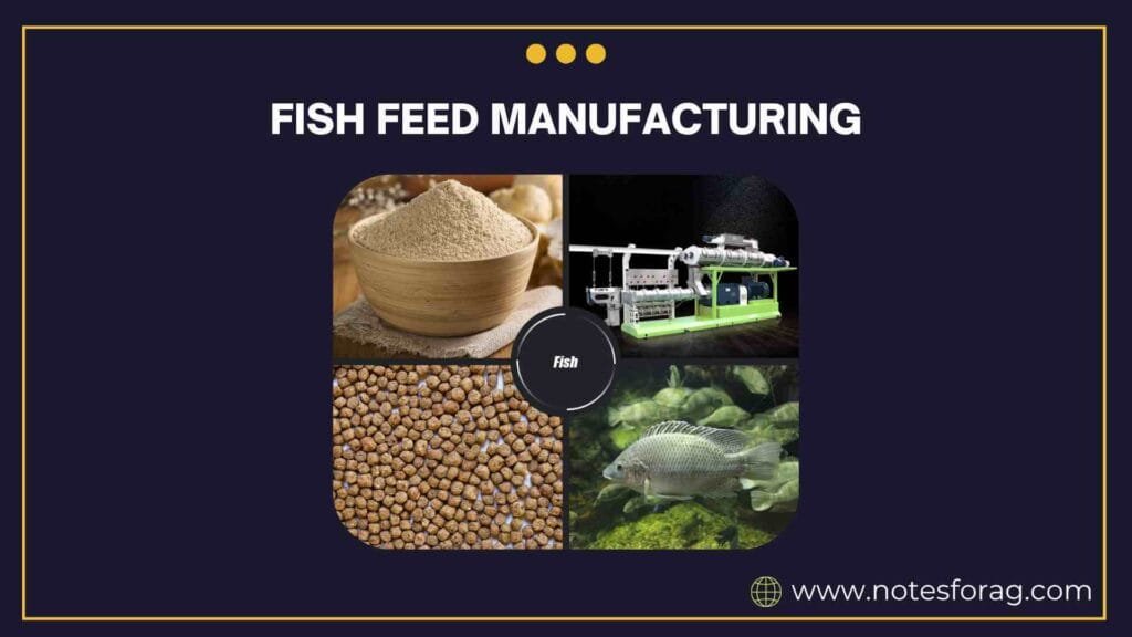Fish feed manufacturing - Best Notes For AG