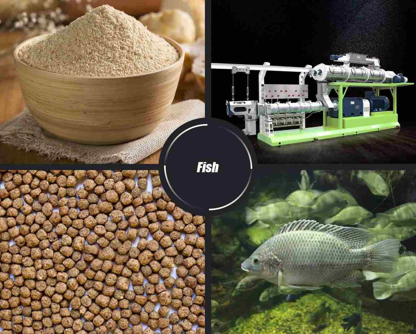 Fish feed manufacturing - Best Notes For AG