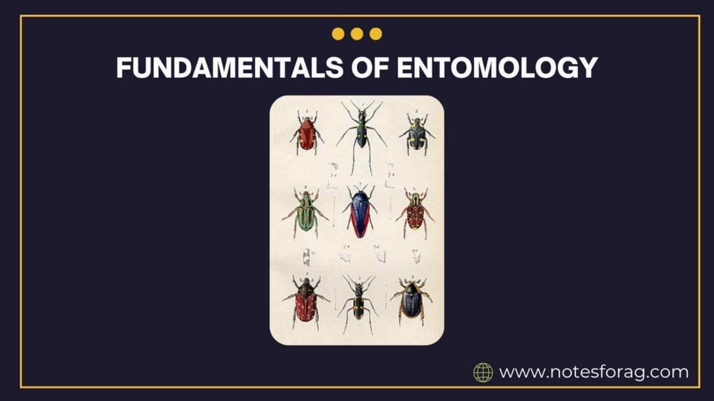 Fundamentals of entomology - Best Notes For AG