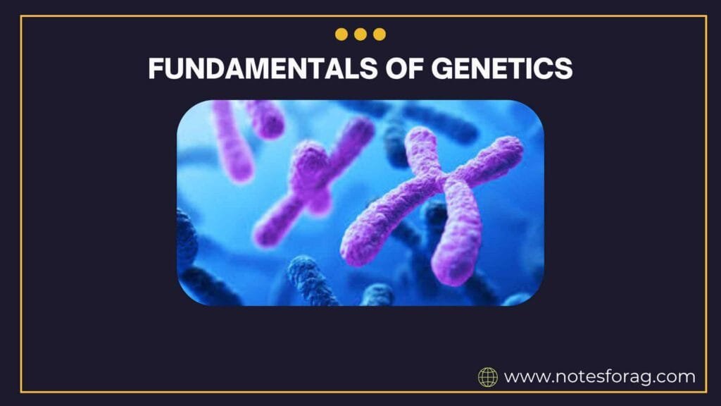 Fundamentals of genetics - Best Notes For AG