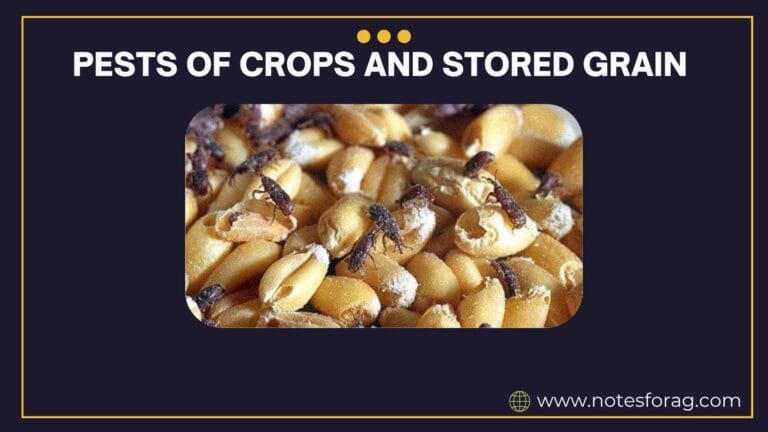 Pests of crops and stored grain and their management - Best