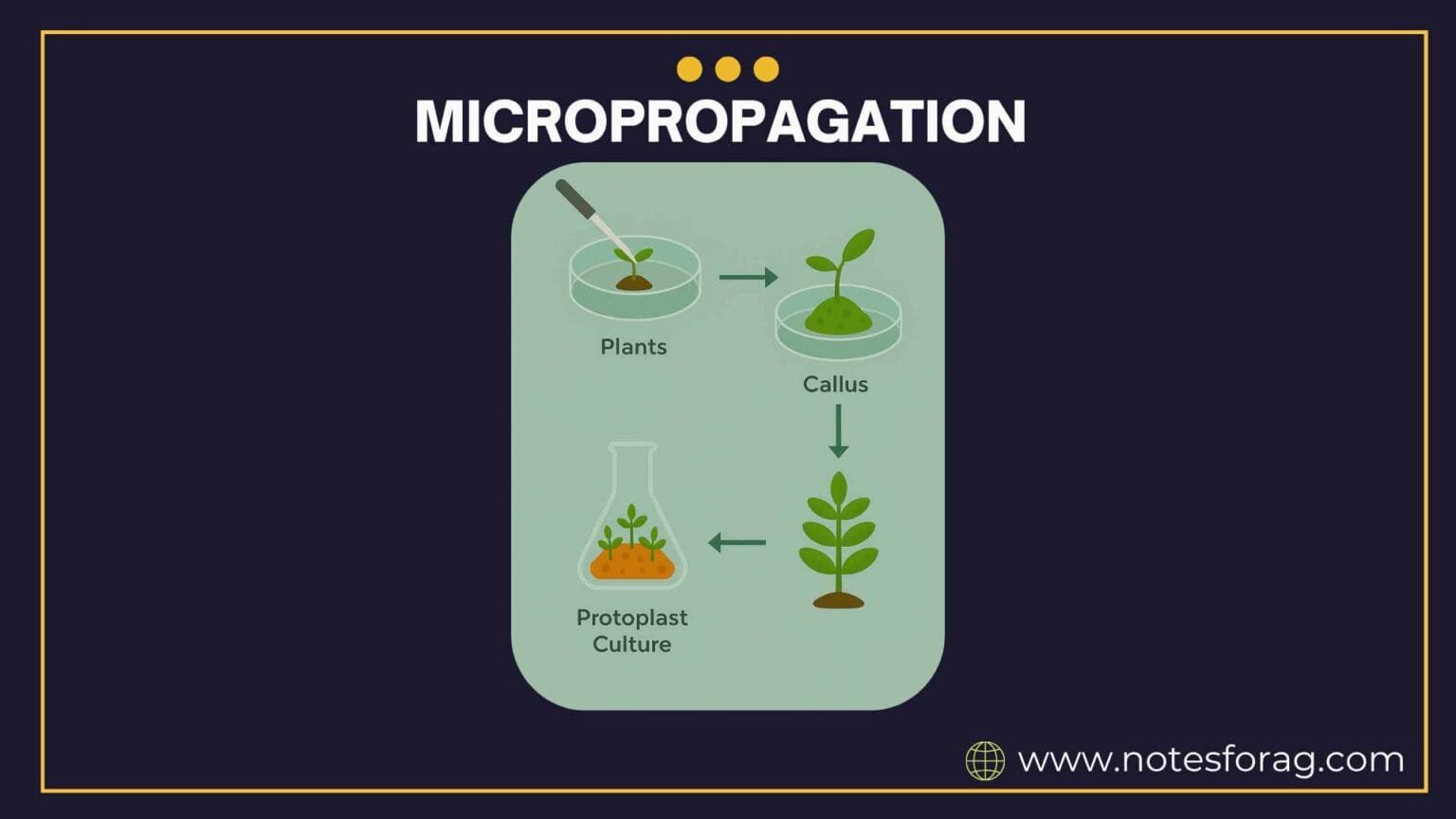 micropropagation techniques applications and challenges